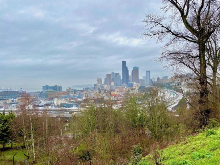 The 10 best views of the Seattle skyline - Kessi World