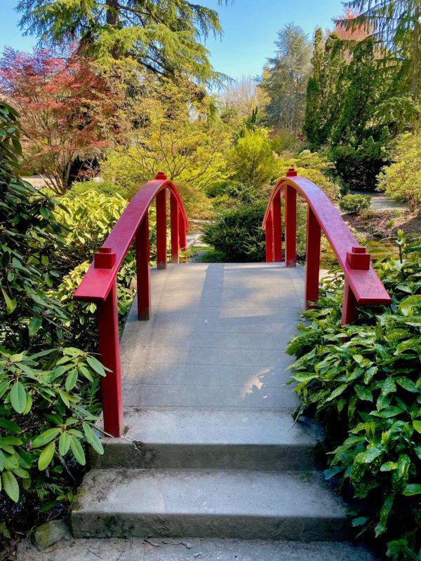 Seattle botanical gardens - the 10 best kept local secrets - Kessi World