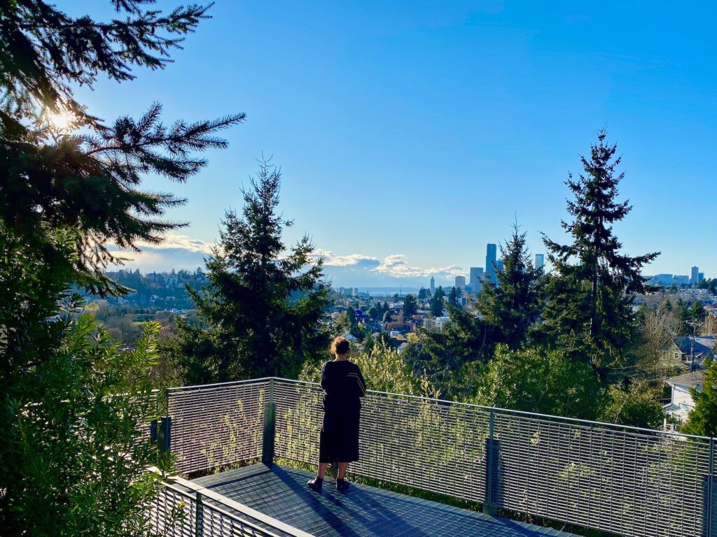 The 10 best views of the Seattle skyline - Kessi World