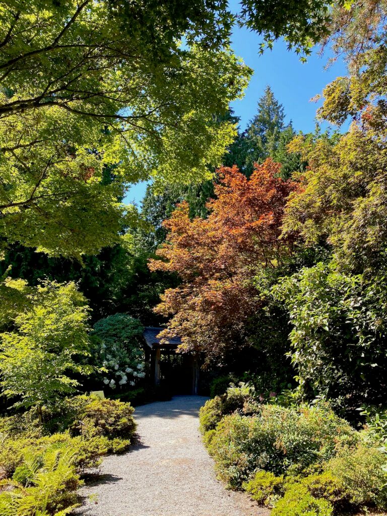 Seattle botanical gardens - the 10 best kept local secrets - Kessi World