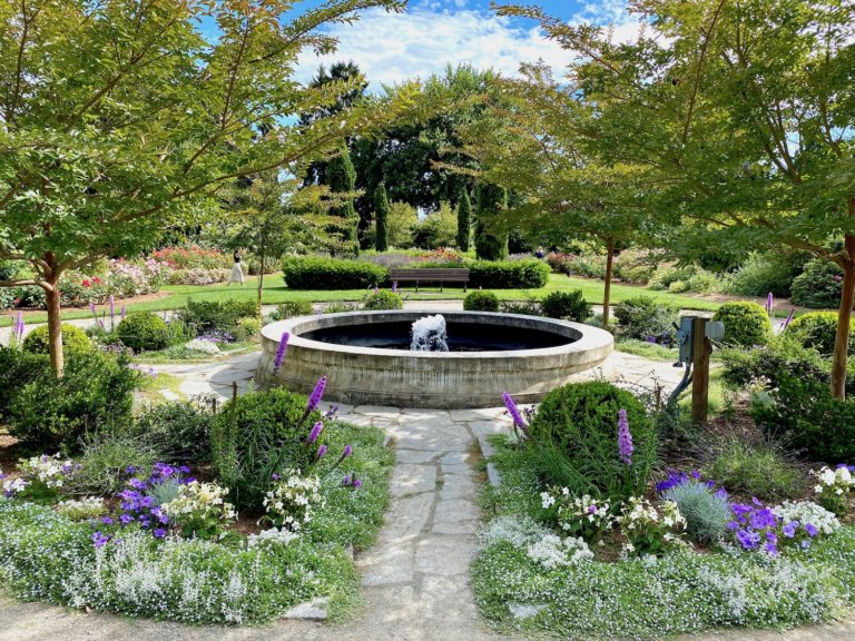 Seattle botanical gardens - the 10 best kept local secrets - Kessi World