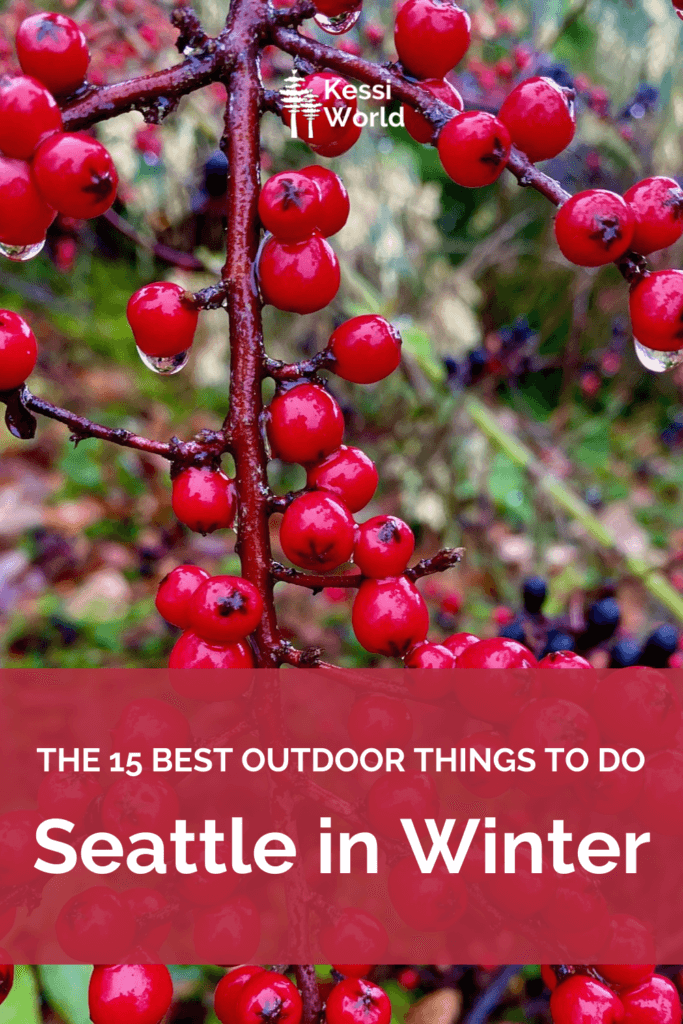 Seattle in Winter - the best outdoor things to do - Kessi World