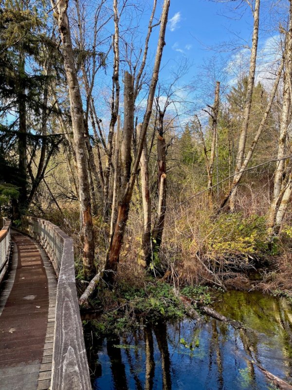 Seattle to Portland drive -- road trip planner to make the day unique