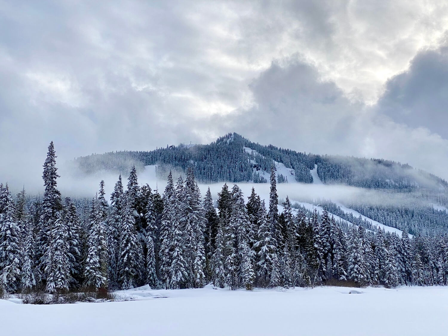 Snowshoe White Pass - the best tips for Winter fun - Kessi World