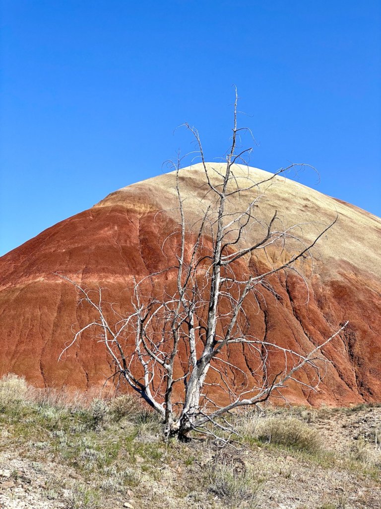 Painted Hills Oregon - everything you need to know to explore - Kessi World