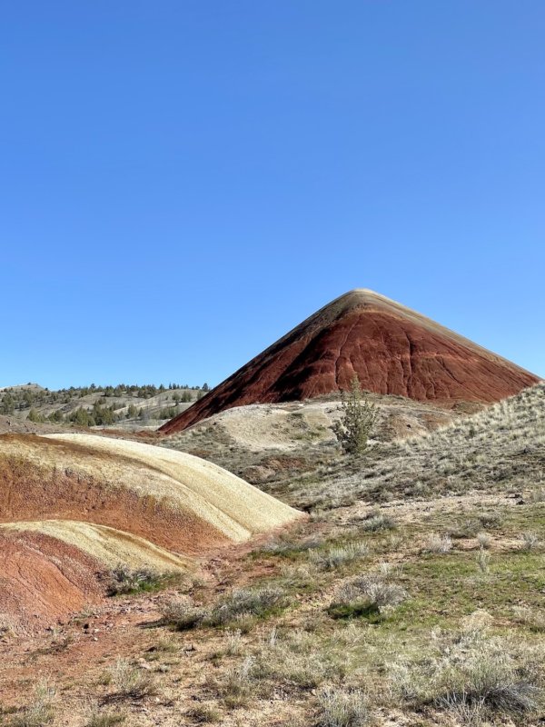 Painted Hills, Oregon photos - alive with vibrant red and yellow ...