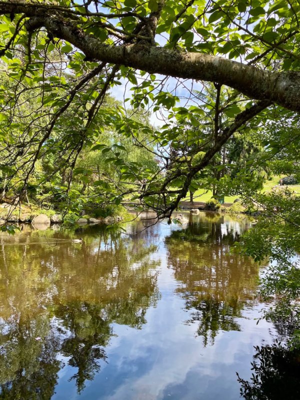 Point Defiance Park -- the best day in Tacoma wilderness