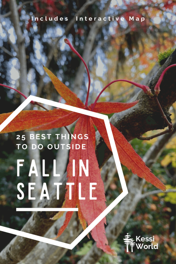 How to enjoy Fall in Seattle -- 30 of the best outdoor things to do