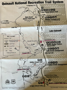 Quinault Loop Trail -- nature's magic in an Olympic Peninsula rainforest