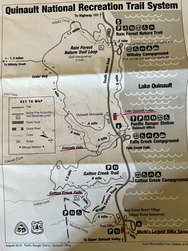 Quinault Loop Trail -- nature's magic in an Olympic Peninsula rainforest