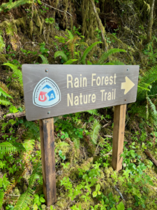 Quinault Loop Trail -- nature's magic in an Olympic Peninsula rainforest