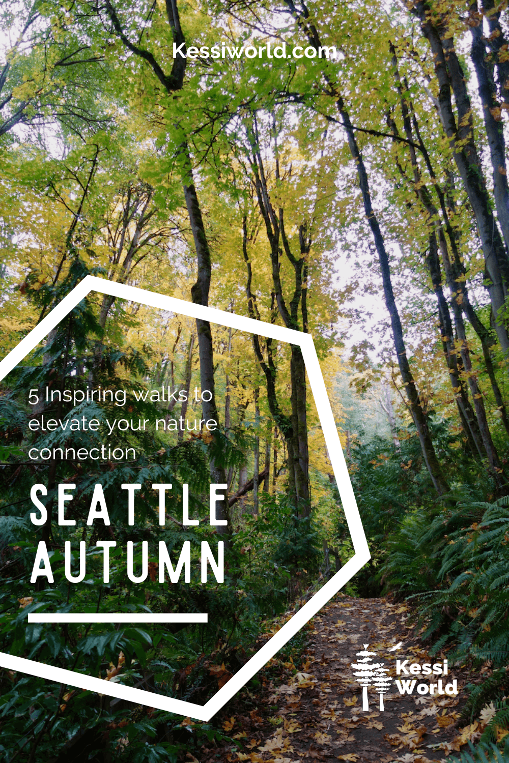 Seattle Autumn -- 5 inspiring walks to elevate your nature connection