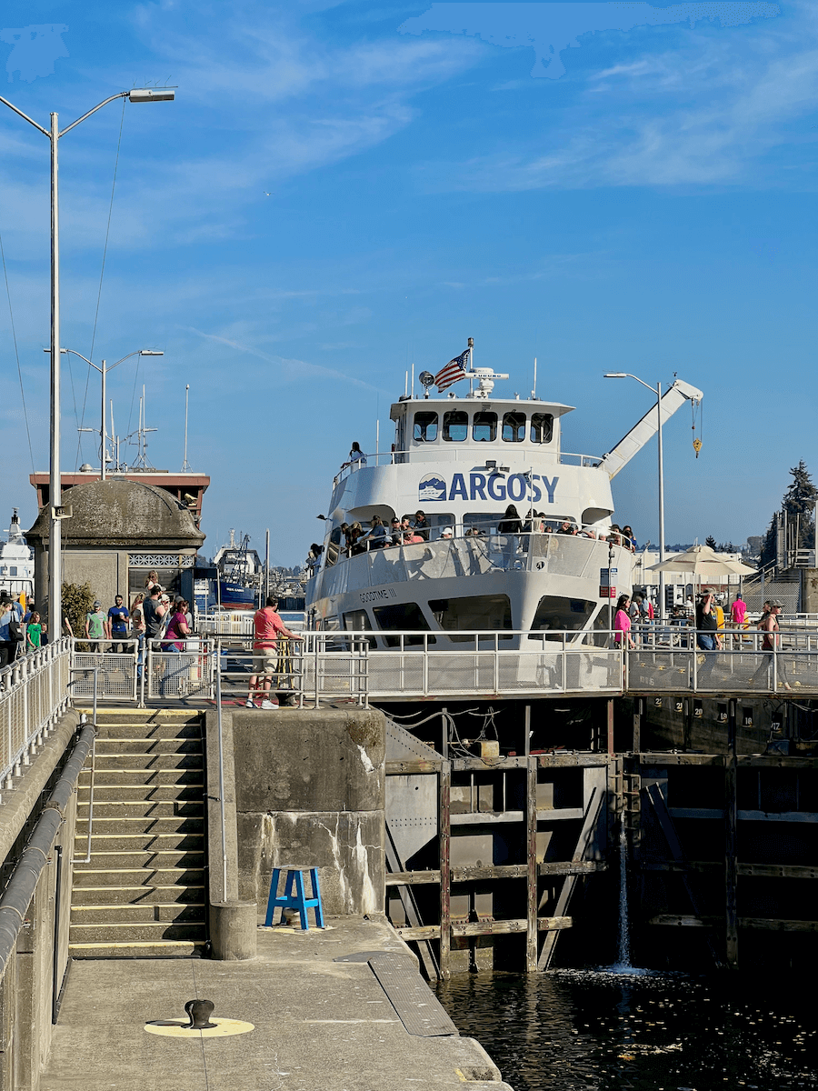 Ballard Locks Fish Ladder -- how to discover nature's magic