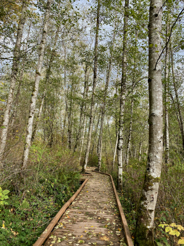 Fall in Seattle -- 25 of the best outdoor things to do