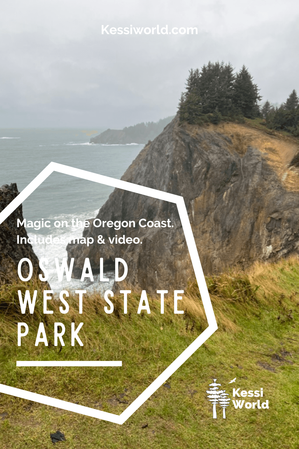 How to find magic at Oswald West State Park