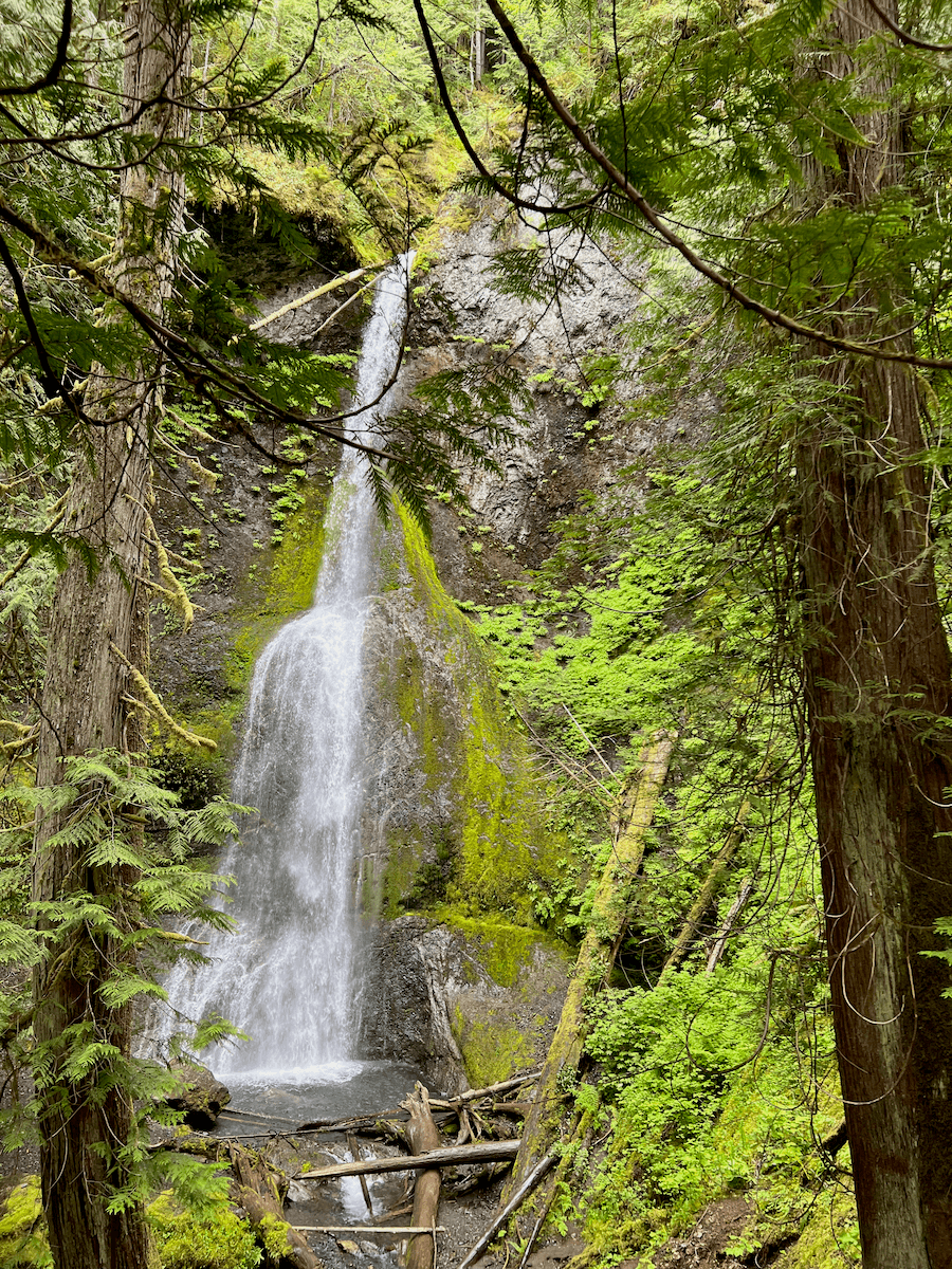 Where to enjoy Seattle forest bathing in the rain
