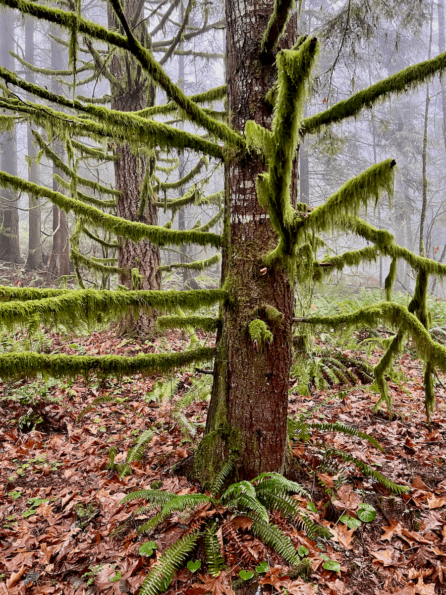 How nature photography helps grounding in your own nature. - Kessi World